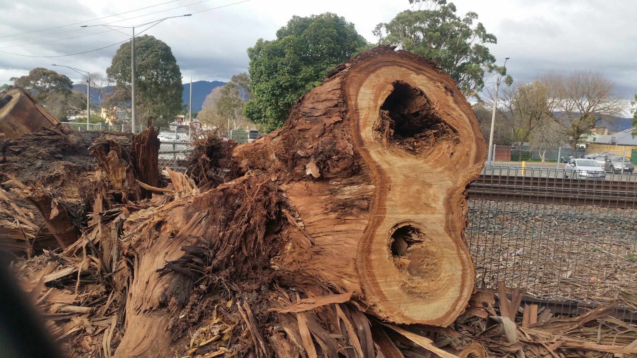 Maroondah’s conservation history | Croydon Conservation Society