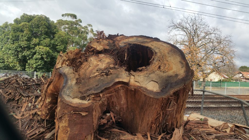 Maroondah’s conservation history | Croydon Conservation Society